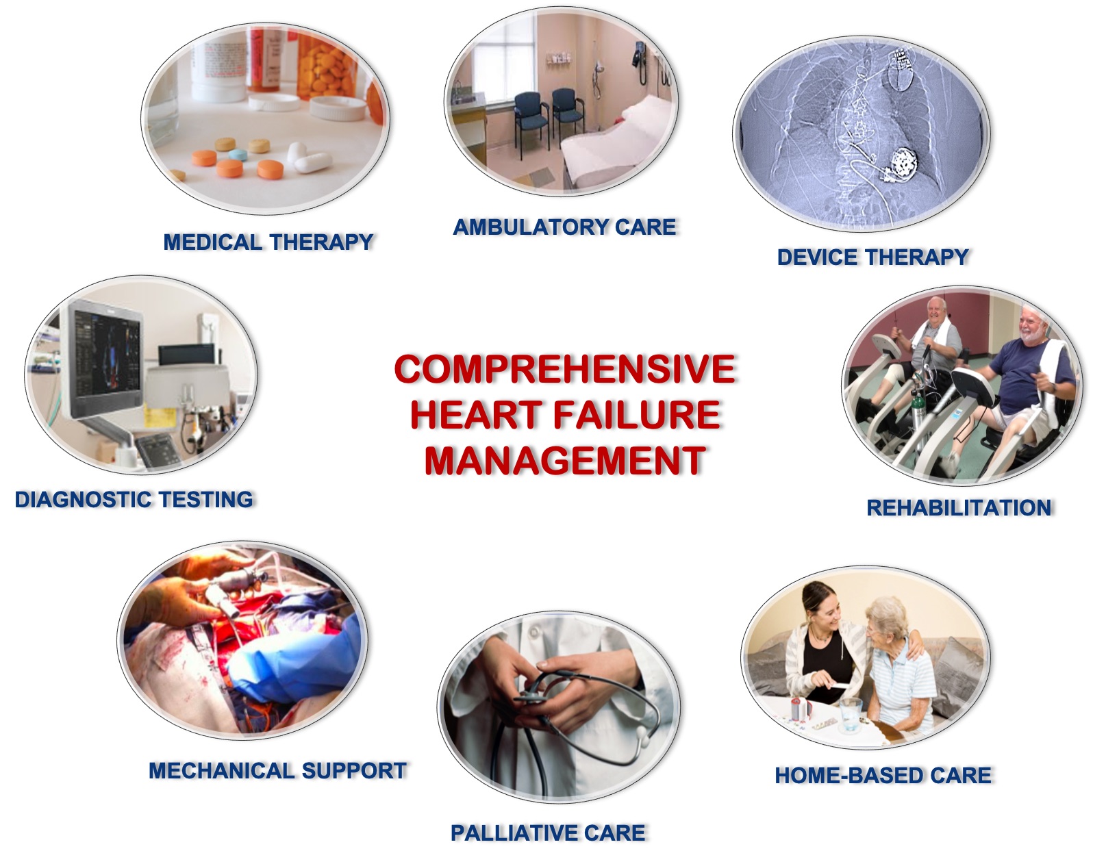 Personalized heart failure and multiple chronic condition care.